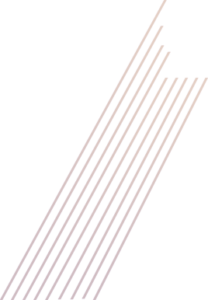 Certifications - Stallions Solutions